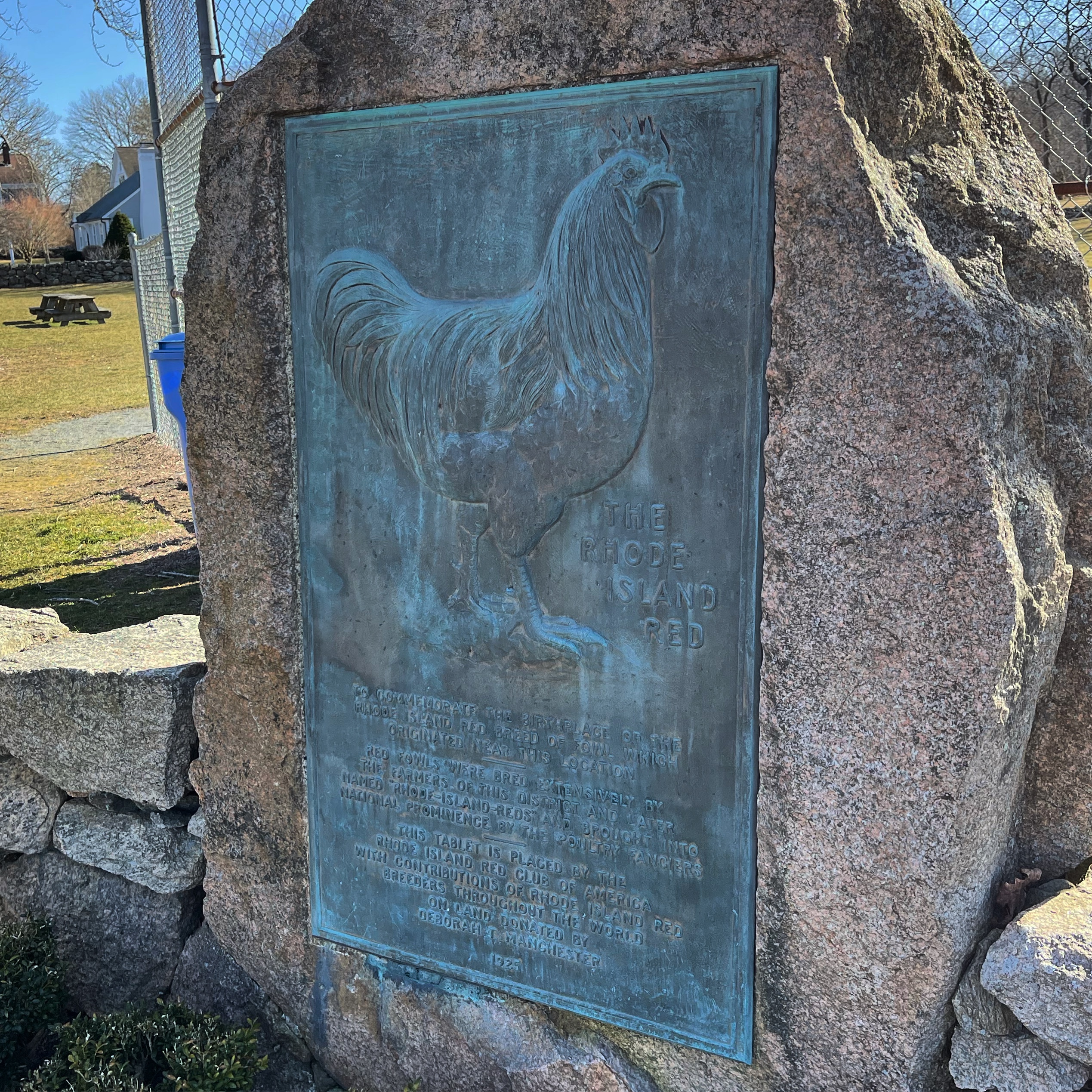 The Rhode Island Red Monument – Alexandersmap