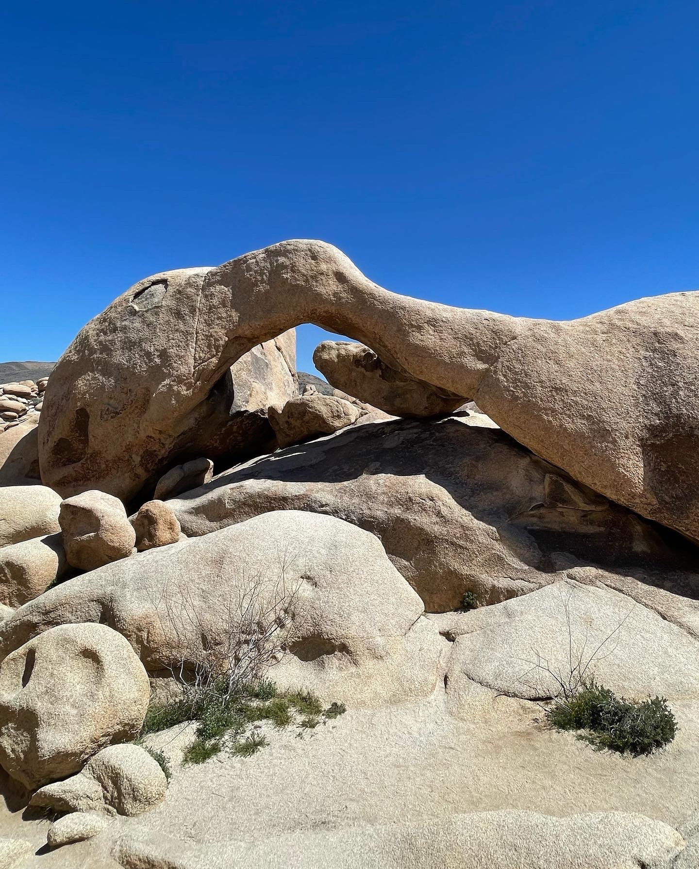 A Visit to Joshua Tree – Alexandersmap